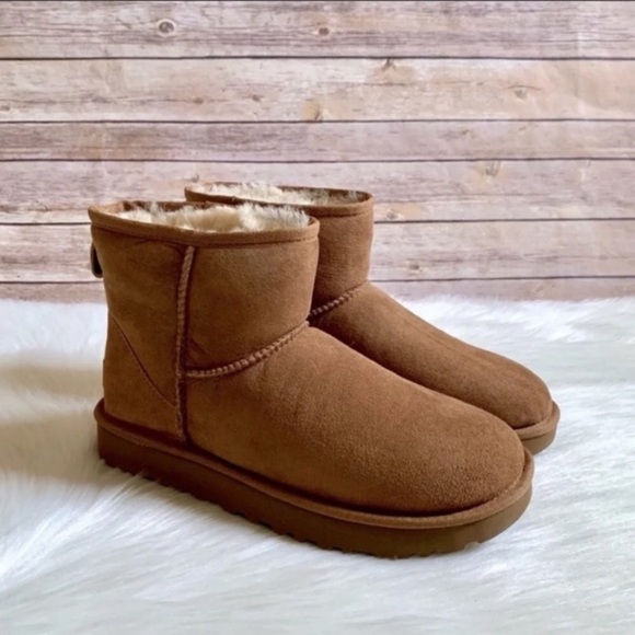 UGG | Shoes | Ugg Chestnut Classic Mini Ii Boots | Poshmark